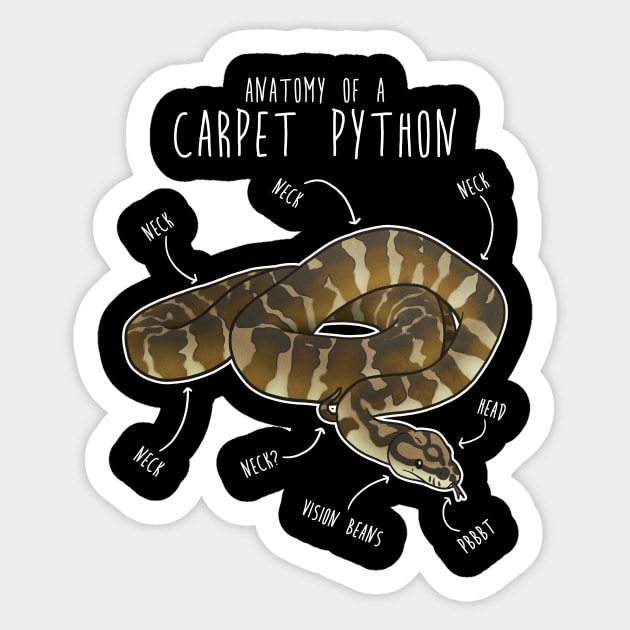 Darwin Carpet Python Snake Anatomy - Carpet Python - Sticker | TeePublic