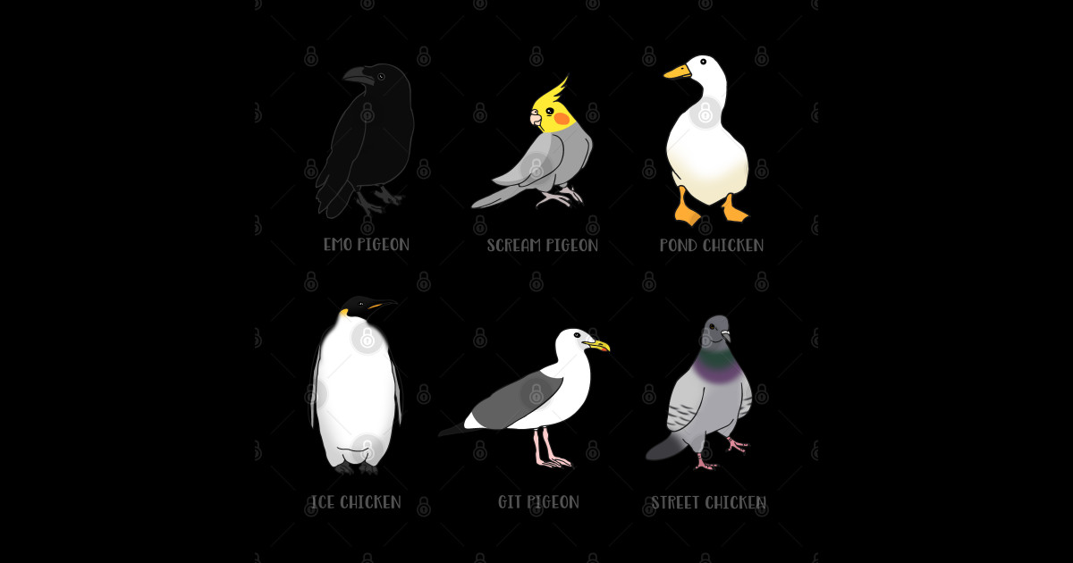 crow emo pigeon, penguin ice chicken, pigeon street chicken, duck pond ...