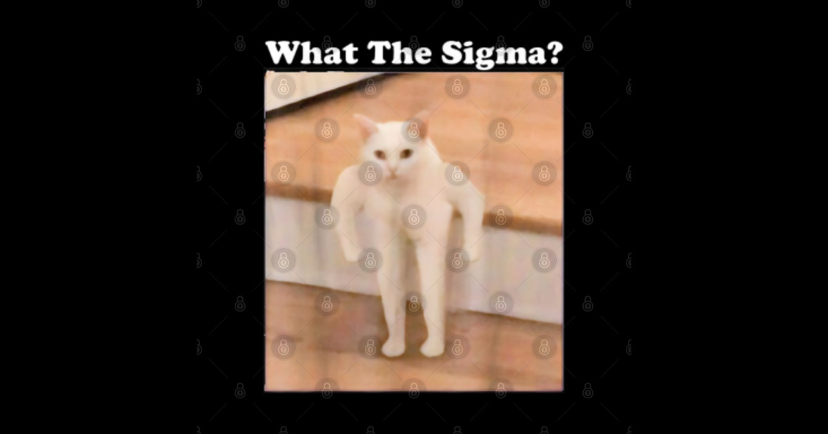 What Sigma Meme Cat Meme Internet Memes Funny Meme Gen Z Pun - Funny ...