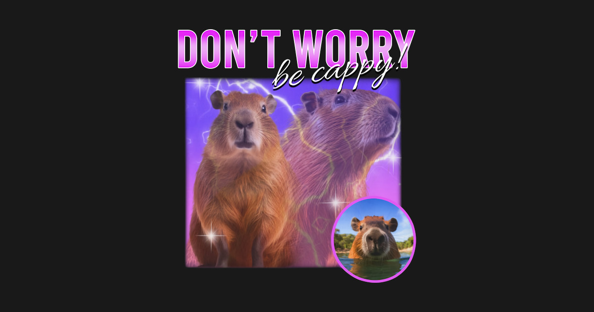 Capybara Retro Be Cappy Dont Worry Funny - Capybara Meme - T-Shirt ...
