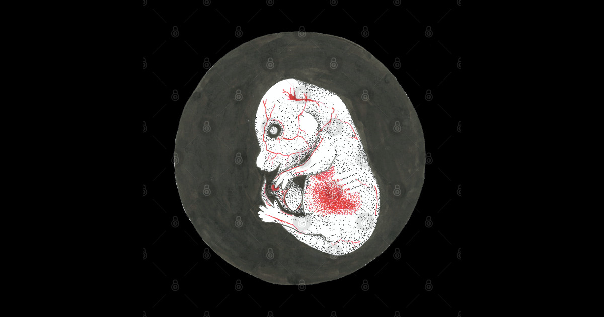 Rat embryo - Embryo - Sticker | TeePublic