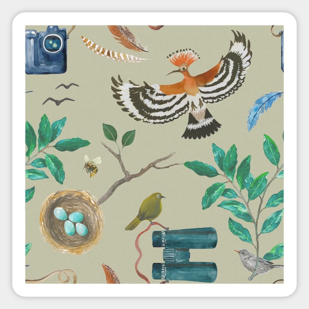 Birds birding birder bird watching enthusiasts - Bird - Sticker | TeePublic