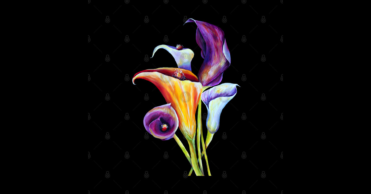 Watercolor Calla Lilies Bouquet Blooming - Calla Lilies - Sticker ...