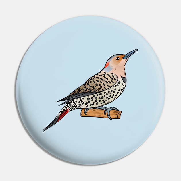 Northern flicker bird cartoon illustration - Northern Flicker Bird ...
