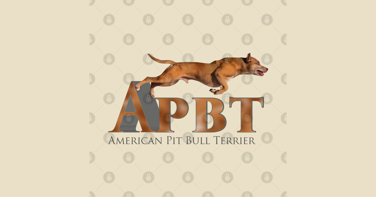 American Pit Bull Terrier - APBT - American Pit Bull Terrier - T-Shirt ...