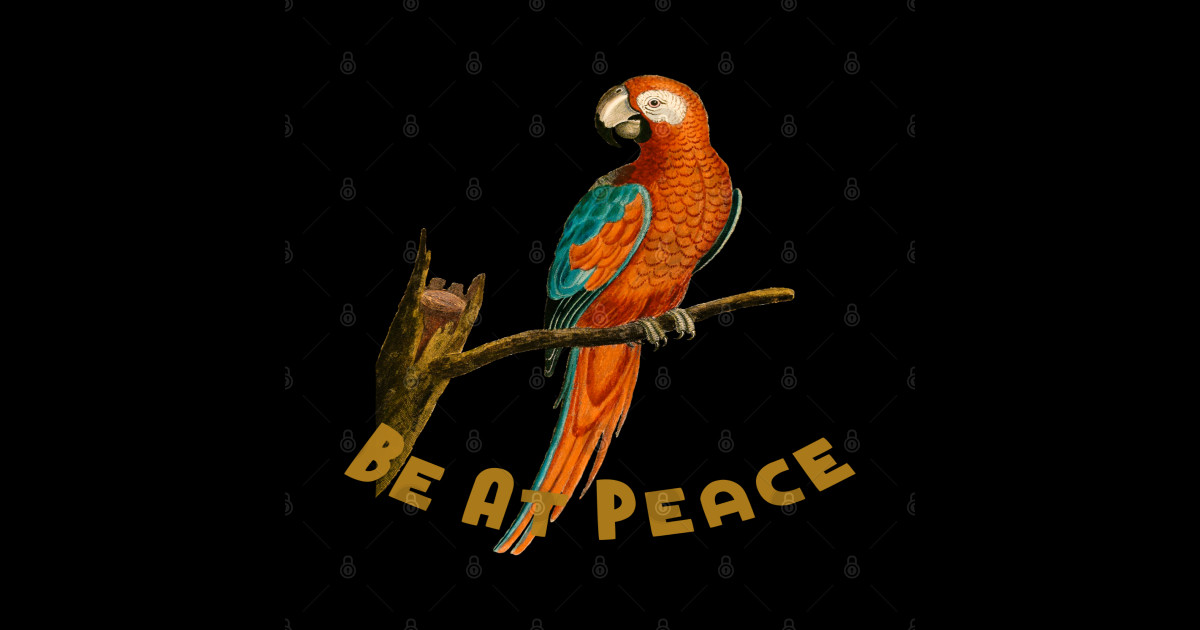 Motivational Parrot - Be At Peace - Parrot - Parrot - Sticker | TeePublic