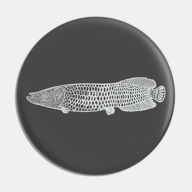 Arapaima - hand drawn detailed huge fish drawing - Arapaima - Pin ...