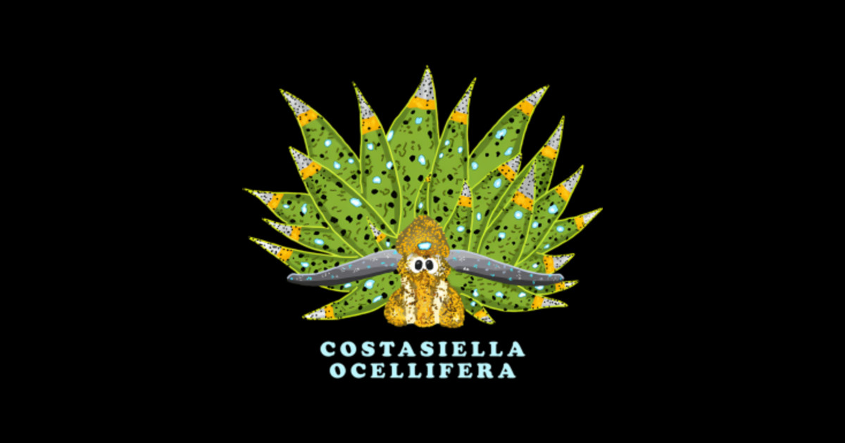 Sweet Sea Snail Leaf Sheep Costasiella Ocellifera Drawing - Sweet Sea ...