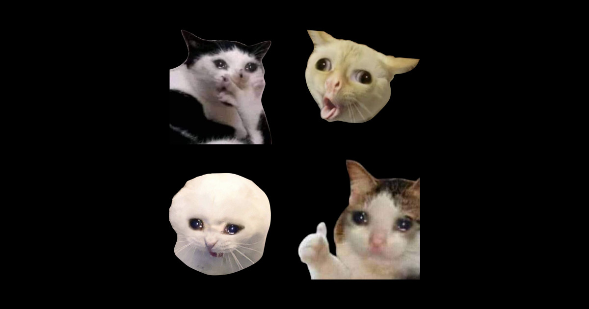 Funny Cat Memes Pack - Cat Memes - Sticker | TeePublic