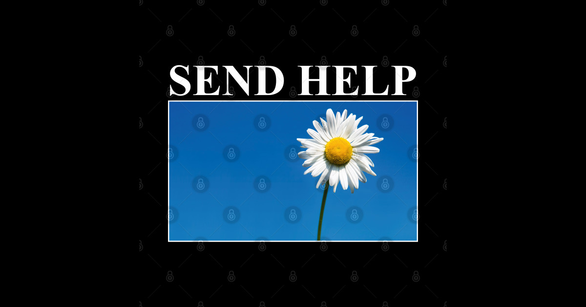Vintage Send Help Daisy Flower Aesthetic Vintage Streetwear Retro ...