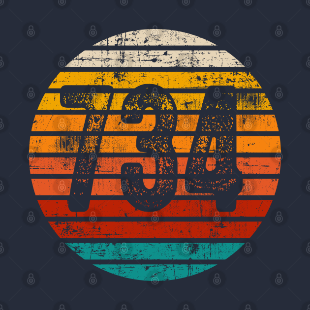 Distressed Vintage Sunset 734 Area Code - 734 Area Code - T-Shirt ...