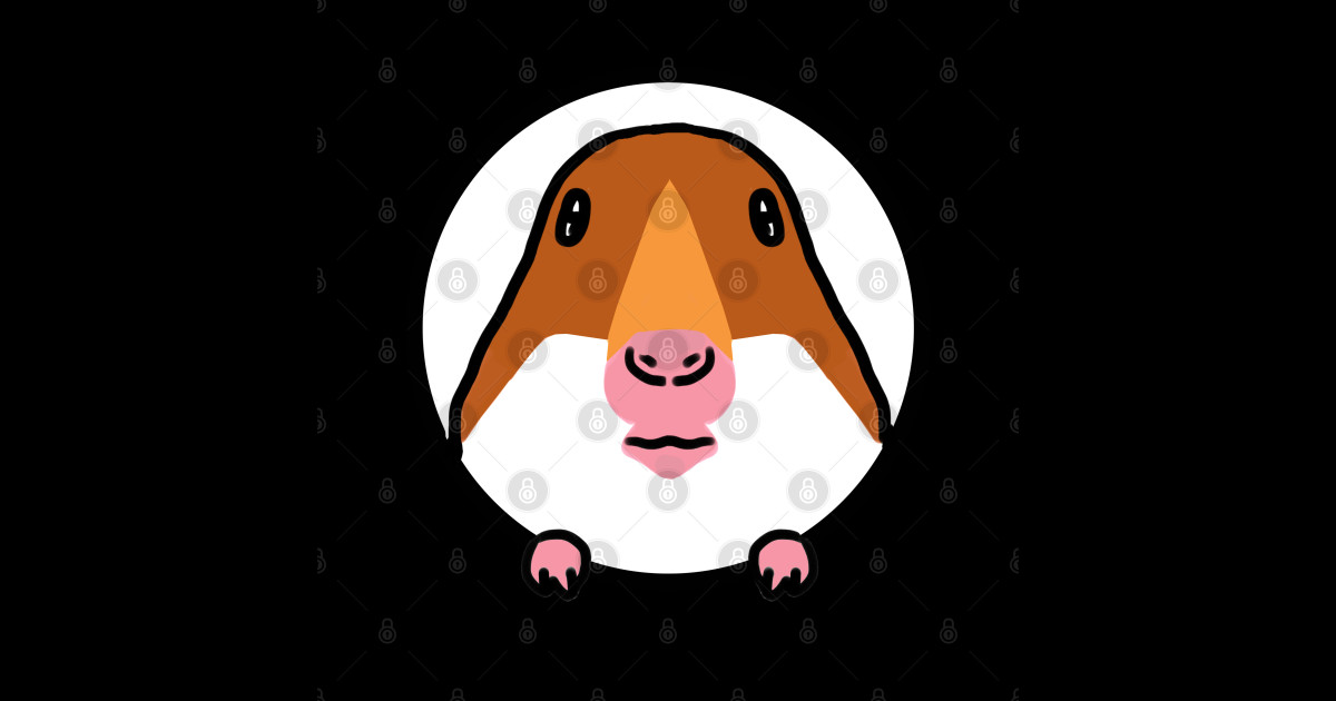 Hamster pfp Meme - Hamster Pfp - Posters and Art Prints | TeePublic