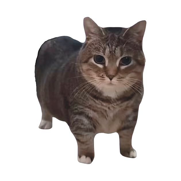 OIIA Cat - Cat - T-Shirt | TeePublic