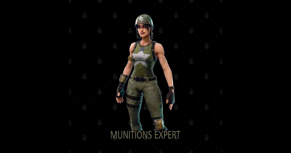 Munitions Expert - Munitions Expert - Sticker | TeePublic