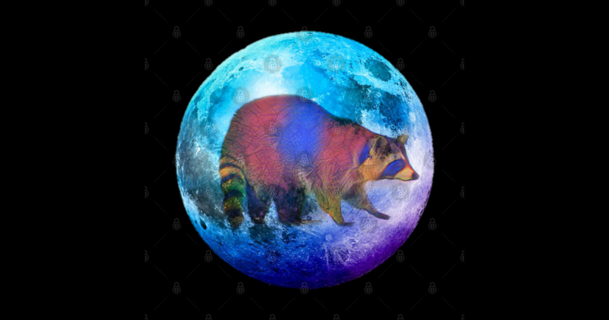 Raccoon Moon - Raccoon - Sticker | TeePublic