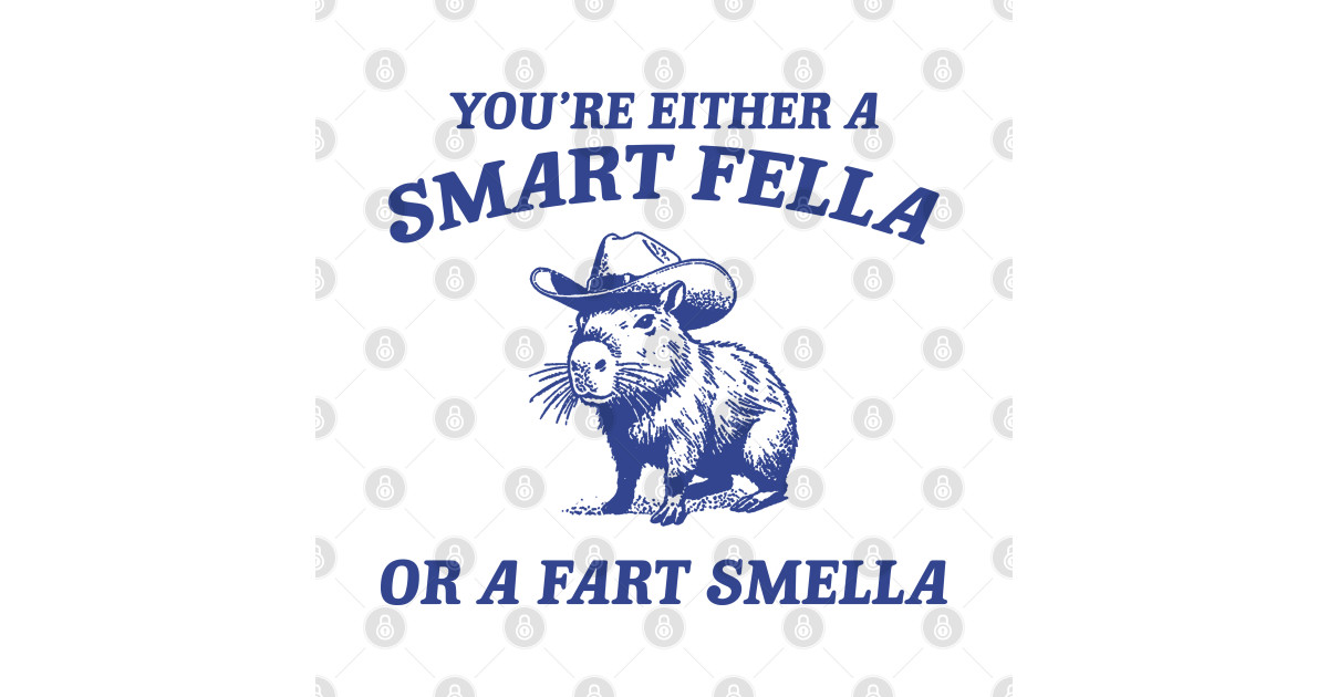 Are You A Smart Fella Or Fart Smella Vintage Style Shirt, Retro Cartoon ...