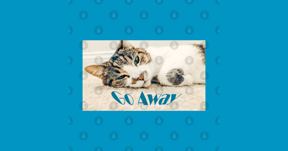 Cat with Blue Eyes says, Go Away - Go Away - T-Shirt | TeePublic