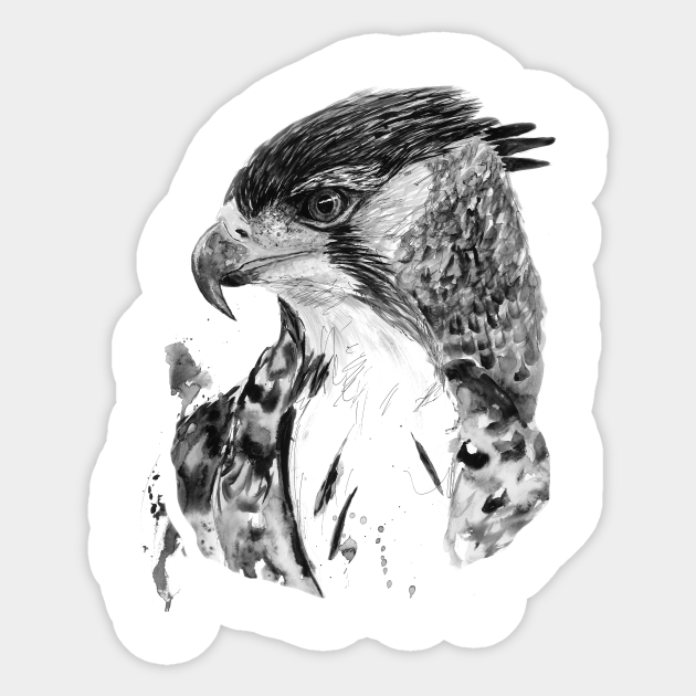 hawk - Hawk - Sticker | TeePublic