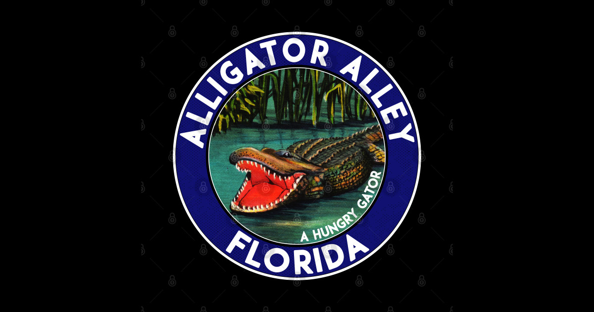 Alligator Alley Florida Interstate 75 Big Cypress Everglades Vintage ...