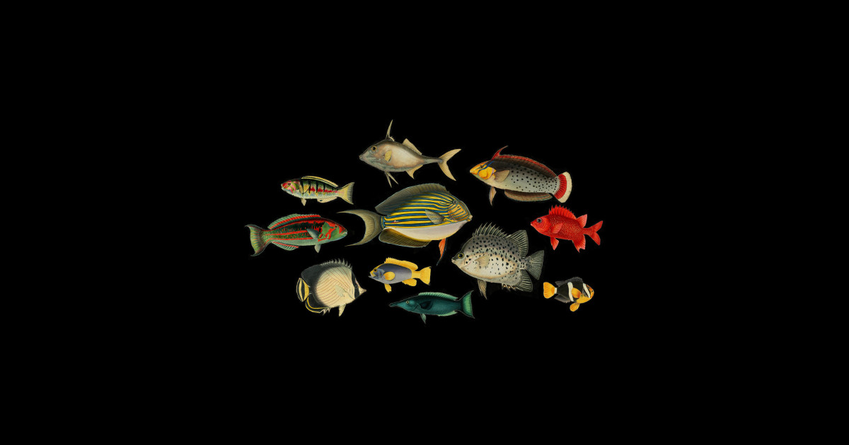 So Many Fish Blue #2 - Marine Biology Vintage Print - Fish - Sticker ...