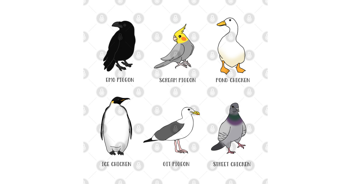crow emo pigeon, penguin ice chicken, pigeon street chicken, duck pond ...