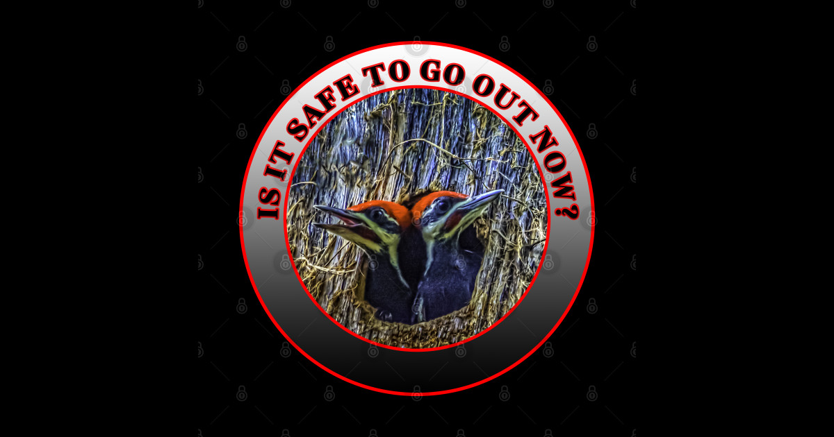 Is It Safe To Go Out Now? - Quarantined 2020 - Sticker | TeePublic