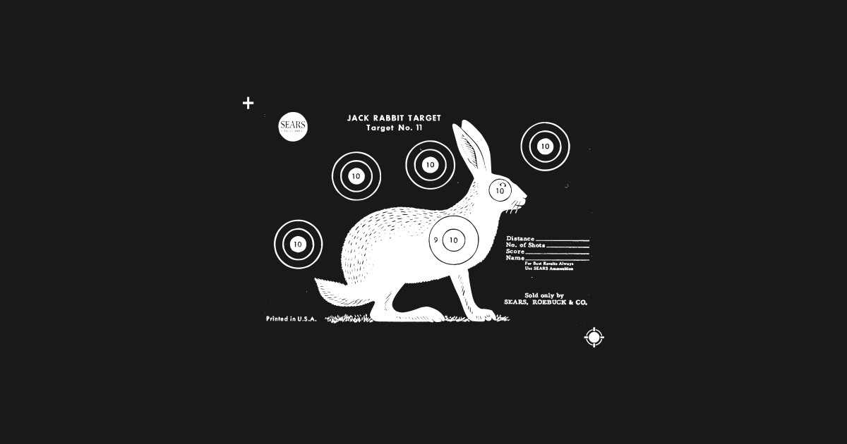 Rabbit Target Archery Bow and Arrow Hunt Sport Surveillance - Target ...