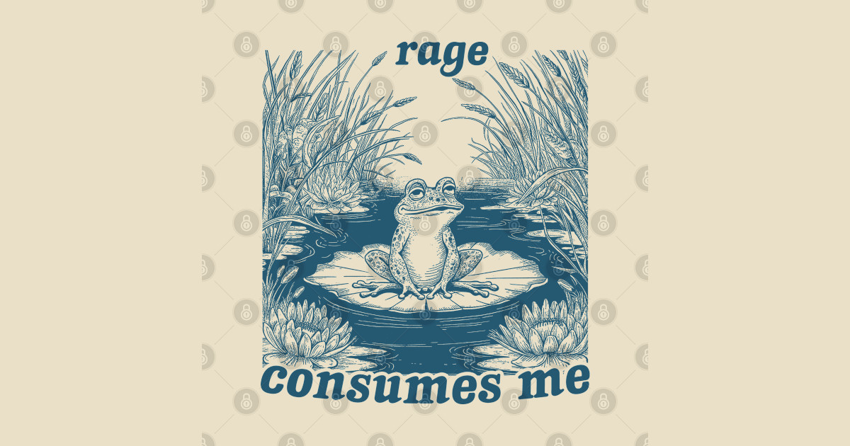 Rage Consumes me Shirt, Frog tshirt, frog meme shirts, funny frog tee ...