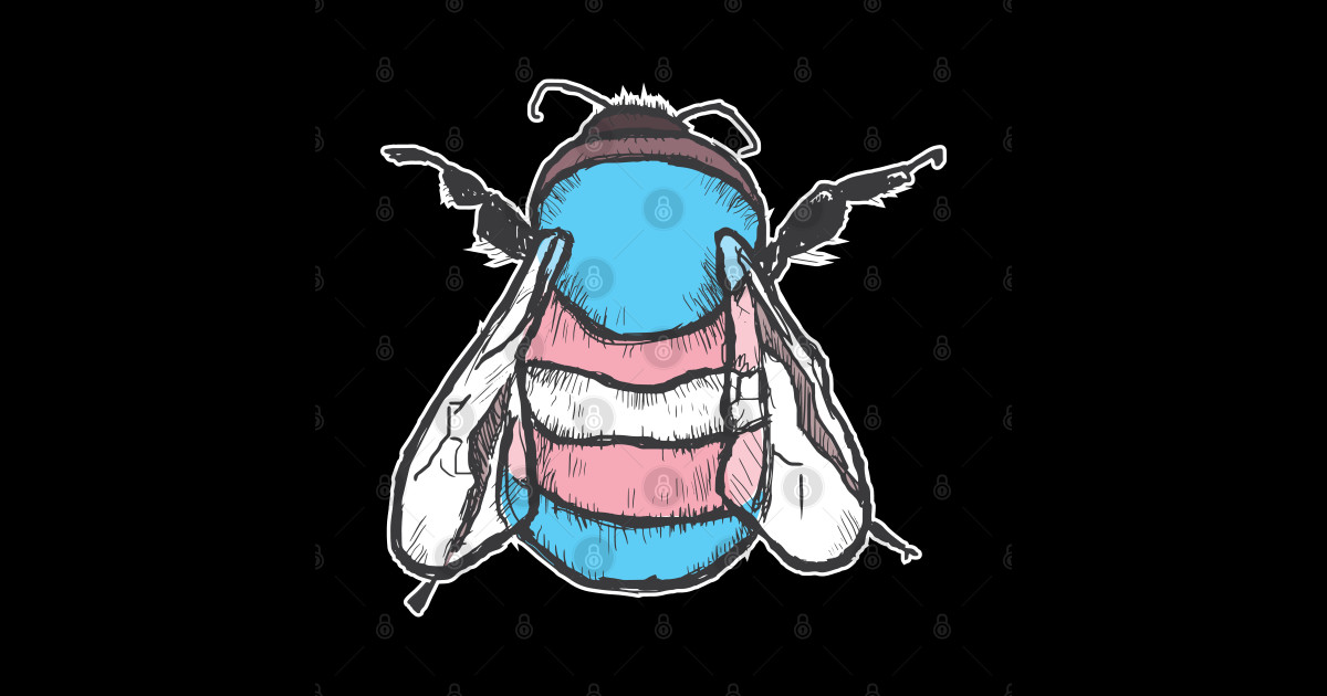 Transgender Bee - Transgender Bee - Sticker | TeePublic