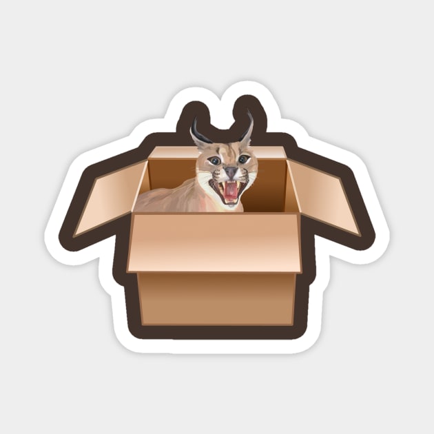 Caracal Cat Peeping from Cardboard Box - Caracal - Magnet | TeePublic