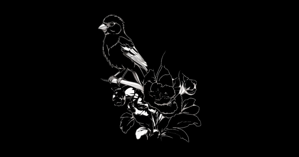 invisible bird design - Invisible Bird Design - Sticker | TeePublic