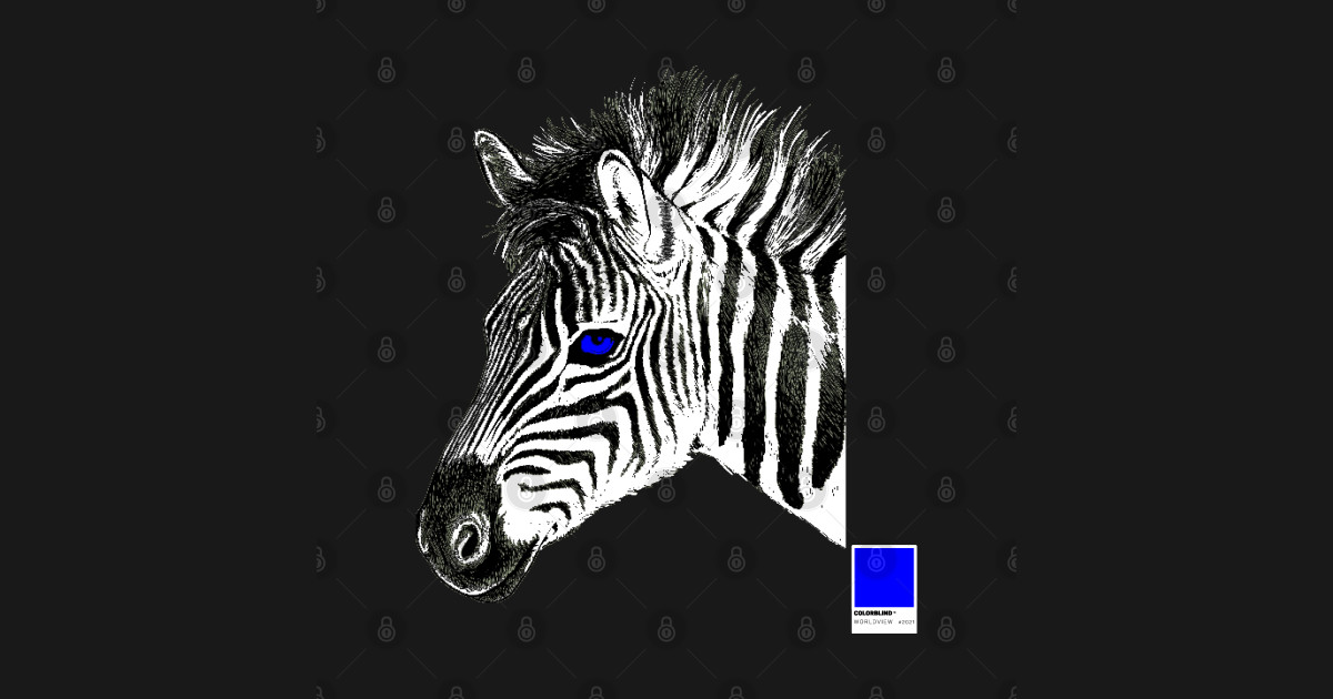 ZEBRA BLUE - white full by COLORBLIND WorldView - Zebra - T-Shirt ...