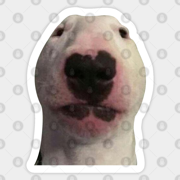 Staring Forward Dog Meme - Meme - Sticker | TeePublic