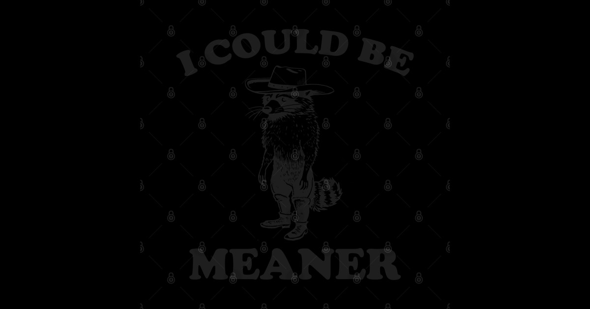 I Could Be Meaner Vintage Style Shirt, Retro Cartoon T Shirt, Weird T ...