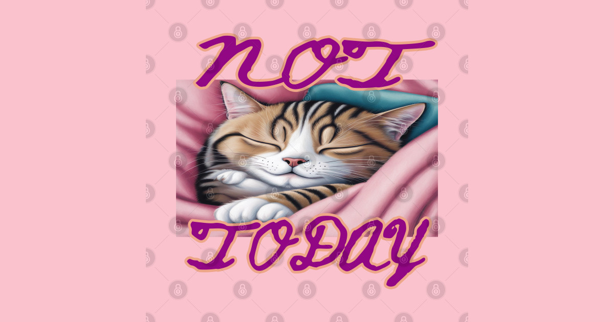 Not Today Cat - Not Today Cat - T-Shirt | TeePublic