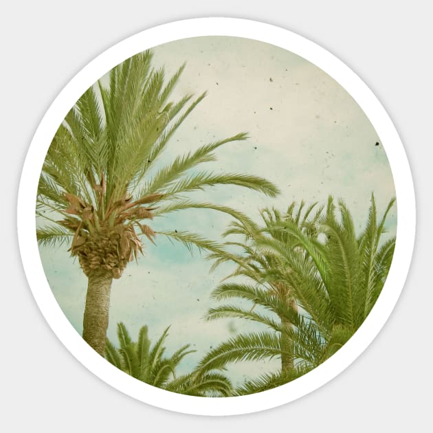Palm Trees - Palm Trees - Sticker | TeePublic