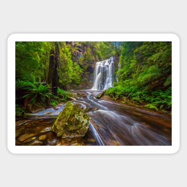 Tarkine Falls, Tasmania - Tarkine Falls - Sticker | TeePublic