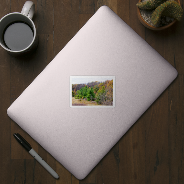 Pines and Fall Colors - Pines - Sticker | TeePublic