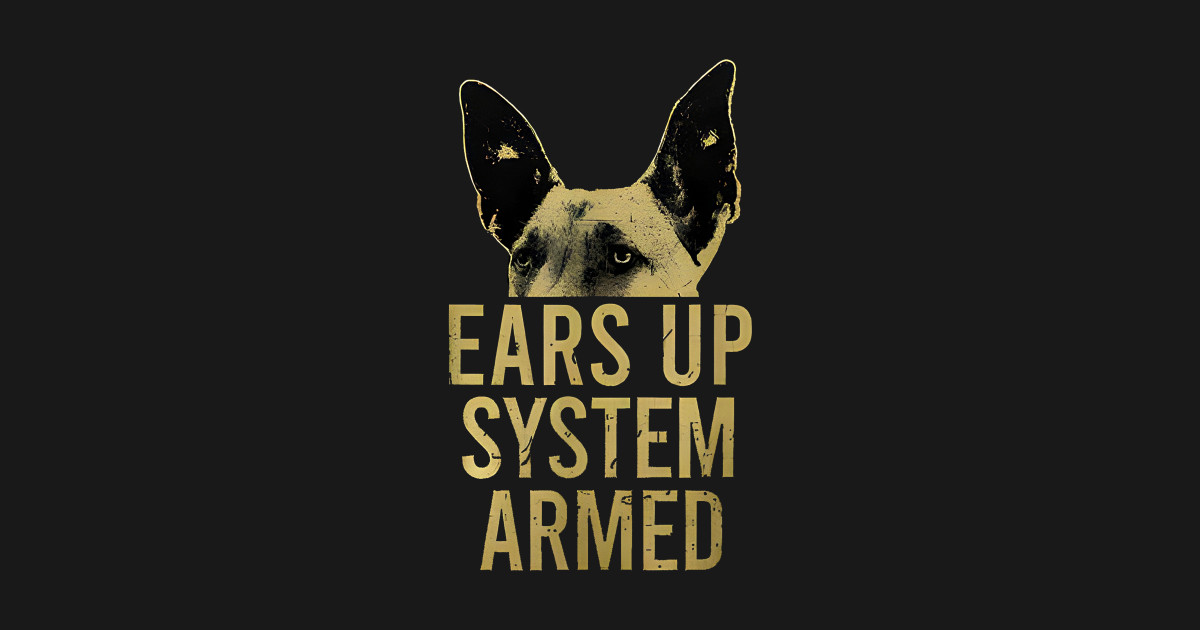 Belgian Malinois Ears Up System Armed Maligator - Dog Training - T ...