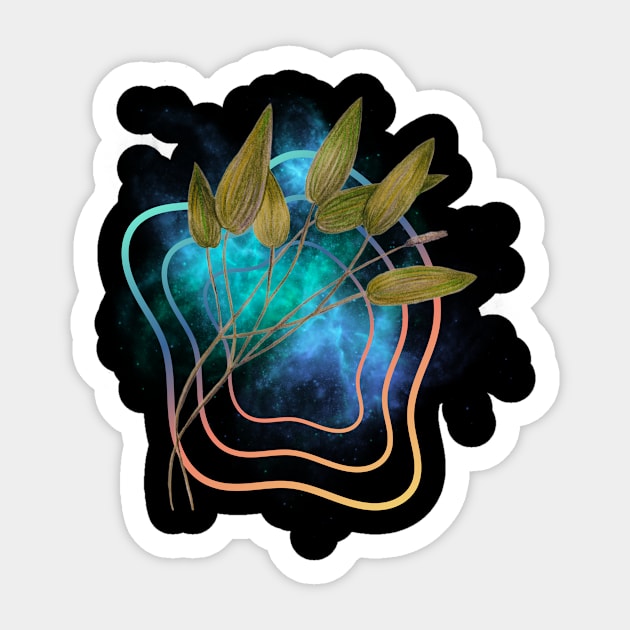 Aquatic Plant Illustration - Pondweed Watercolor - Sticker | TeePublic