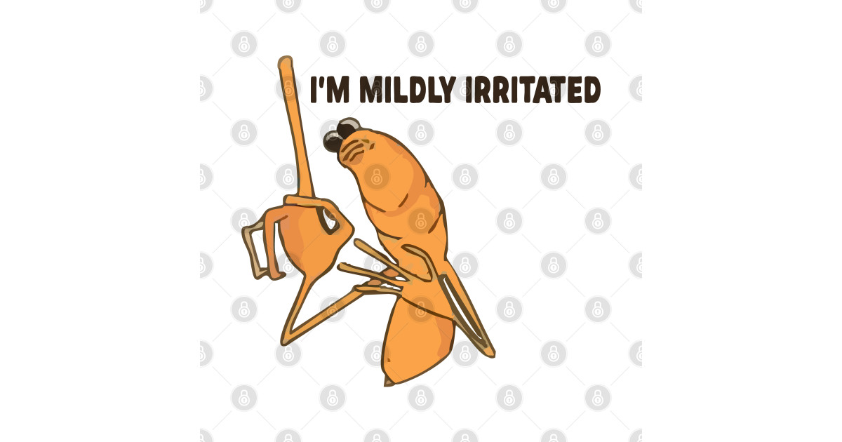 i am mildly irritated- marcus the worm - Marcus The Worm - T-Shirt ...