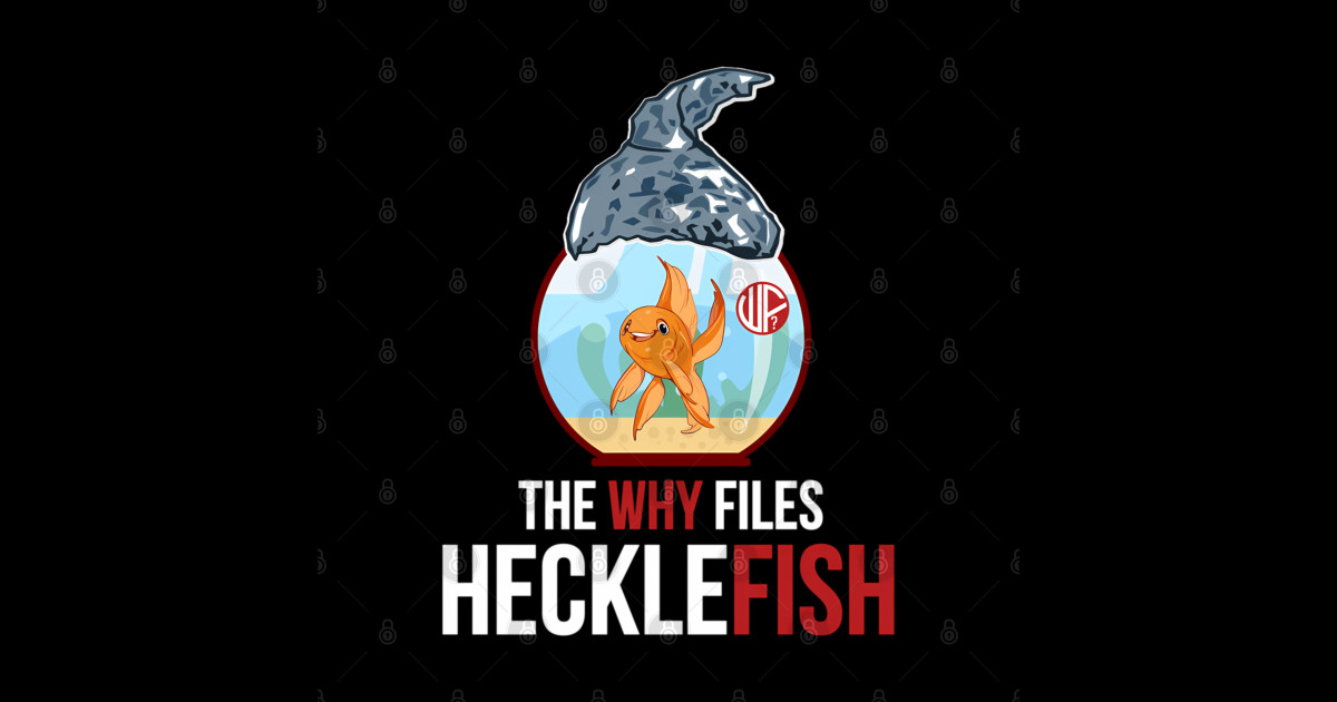 The Why Files Black Hecklefish - The Why Files Black Hecklefish ...