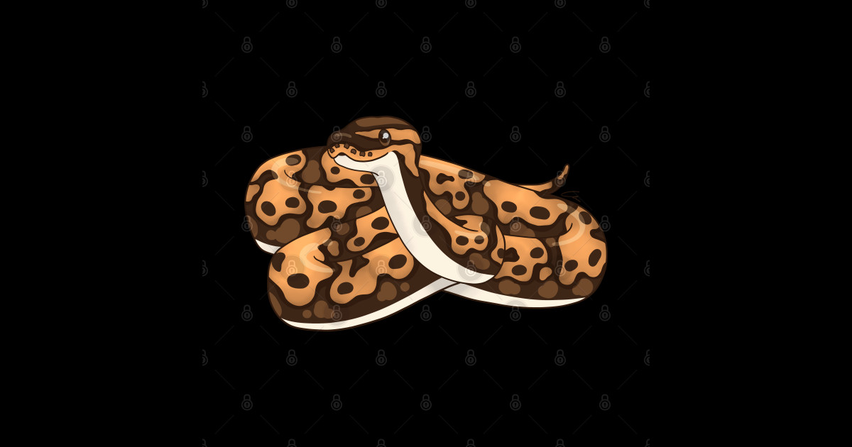 Normal Ball Python Digital Illustration - Ball Python - Socks | TeePublic