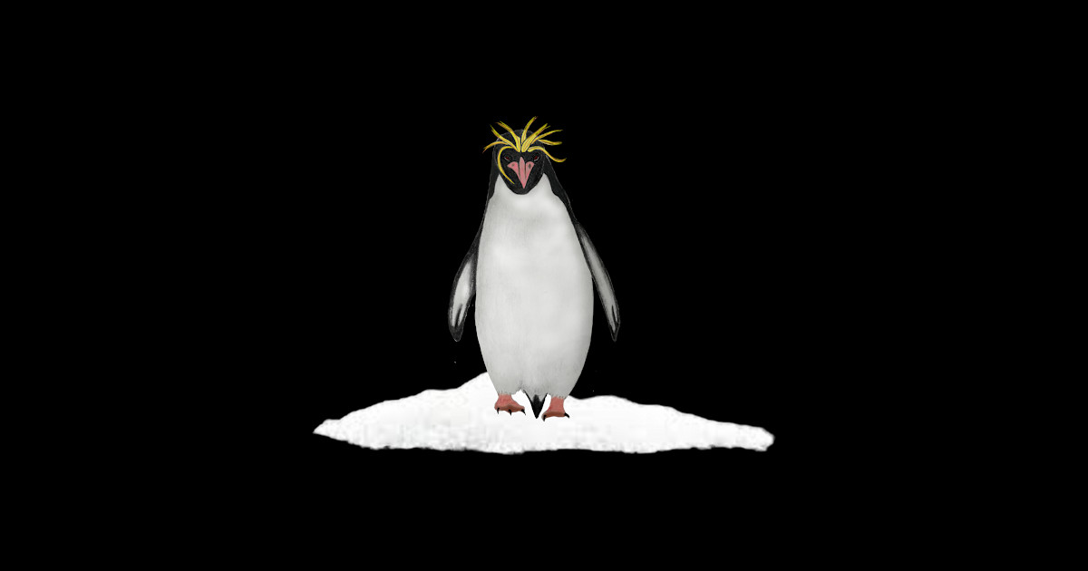 Macaroni Penguin - Macaroni Penguin - Sticker | TeePublic