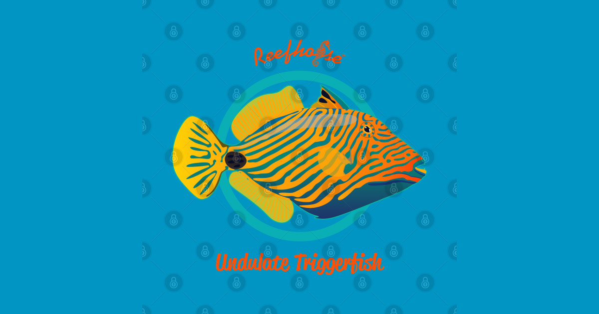Undulate Triggerfish - Reefhorse - T-Shirt | TeePublic