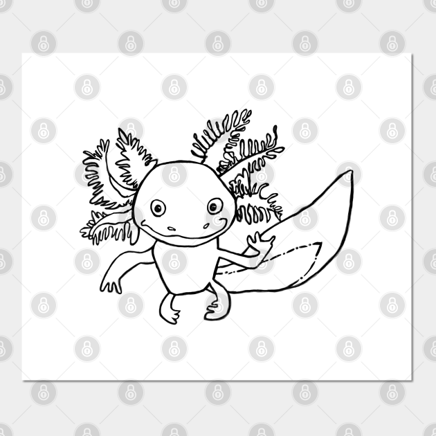 Cute Axolotl Black Line Drawing - Axolotl - Posters and Art Prints ...