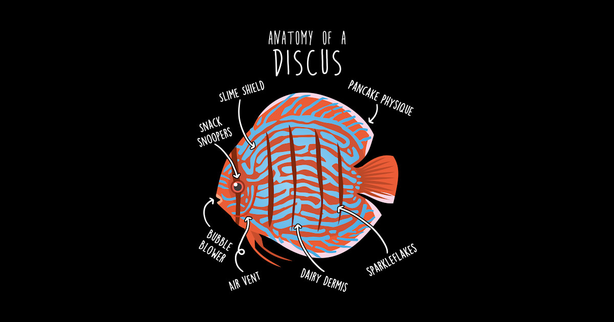Discus Fish Anatomy - Discus - Sticker | TeePublic