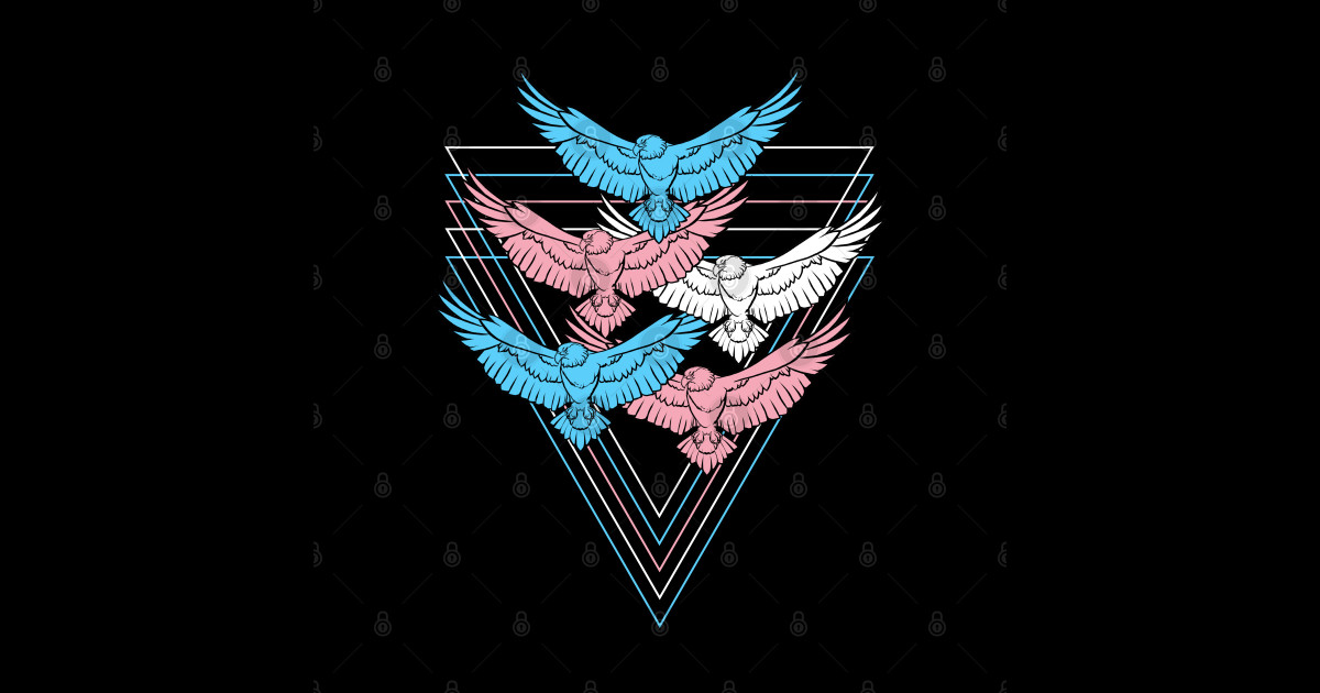 Hawks LGBTQ Transgender Pride Trans Pride Hawk Bird Lover - Transgender ...