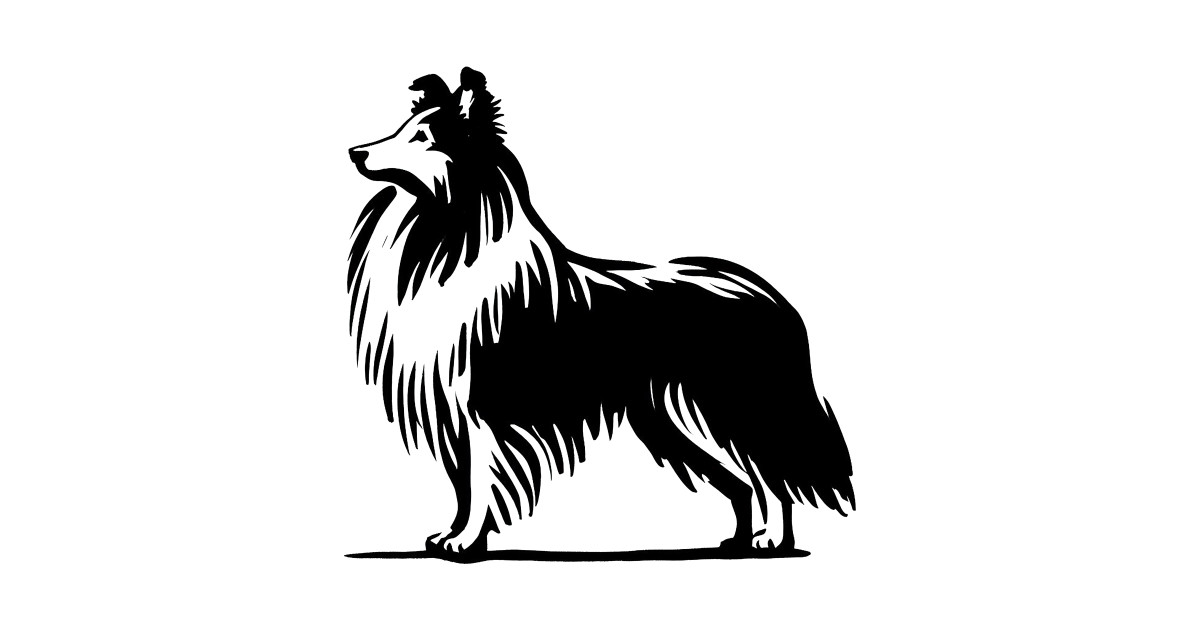 This is a simple black ink drawing of a Sheltie dog - Stick Figure Dog ...