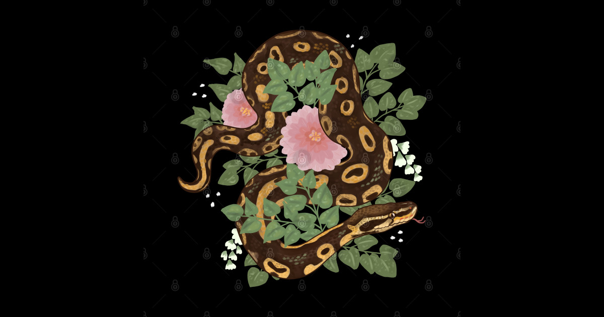 Kit the Ball Python - Ball Python - Sticker | TeePublic
